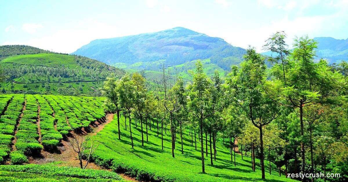 13 Beautiful Hill Stations in South India to Explore