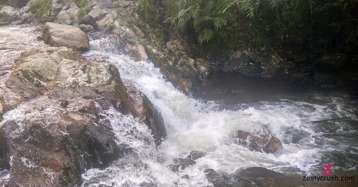 Kakochang Waterfall: A Scenic Escape in Northeast India