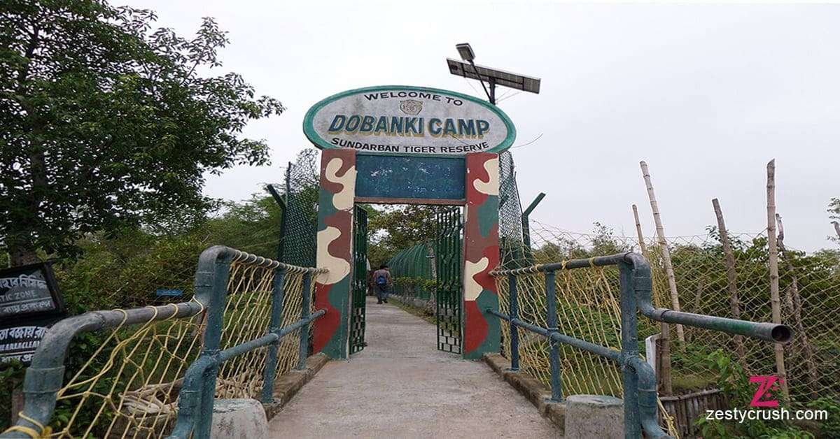 Top 4 Biggest Wildlife Sanctuary in India: Explore the Wilderness