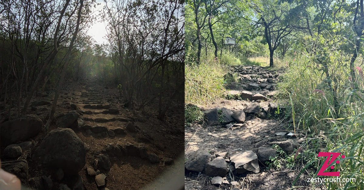 Ralamandal Wildlife Sanctuary Timings & Distance from Indore