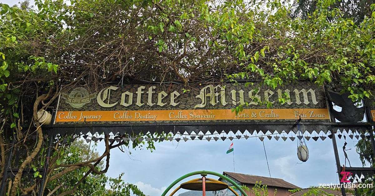 Best Places to Visit in Lambasingi: Guide to Andhra Paradise