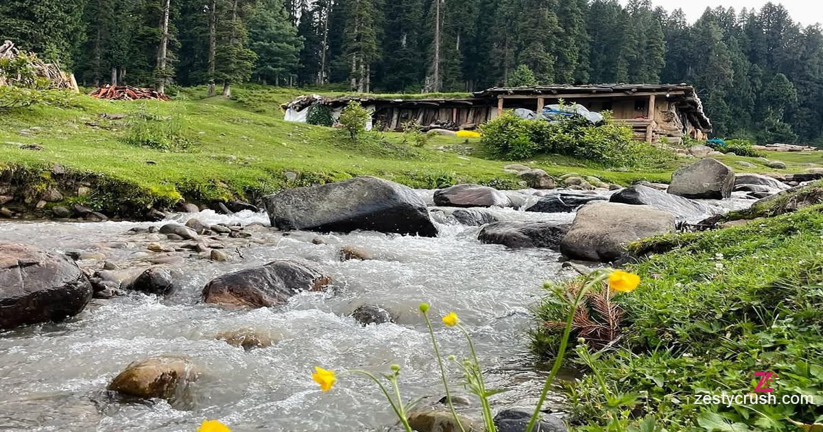 Top 11 Places to See in Kashmir: A Traveler’s Paradise