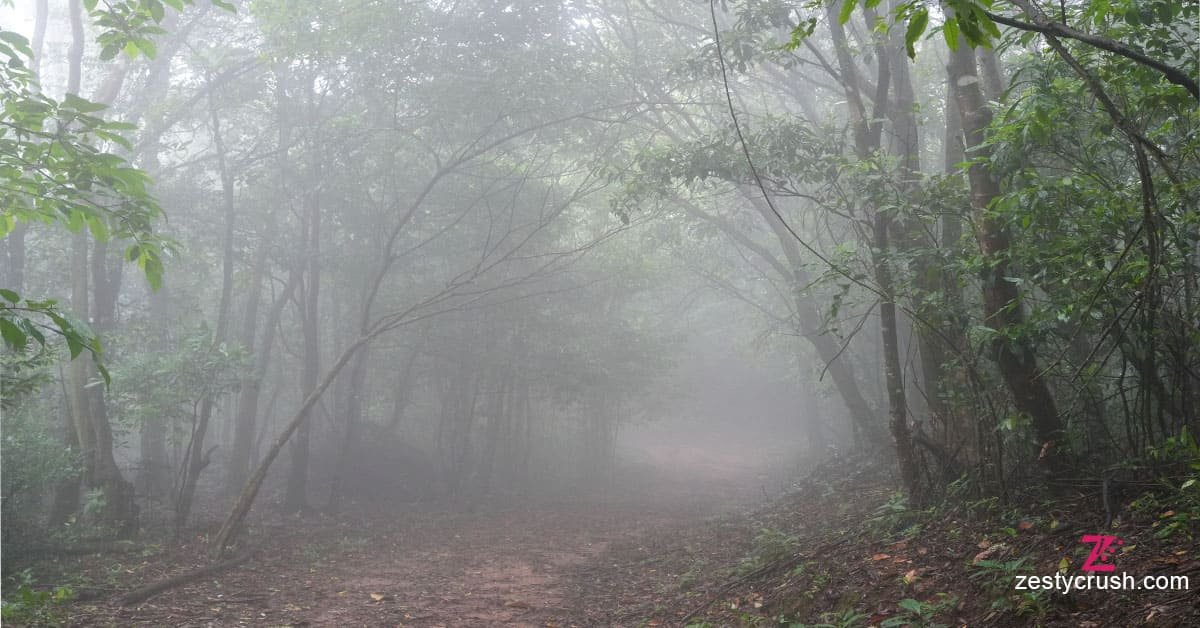 Discover Nokrek National Park: A Biodiversity Gem in Meghalaya