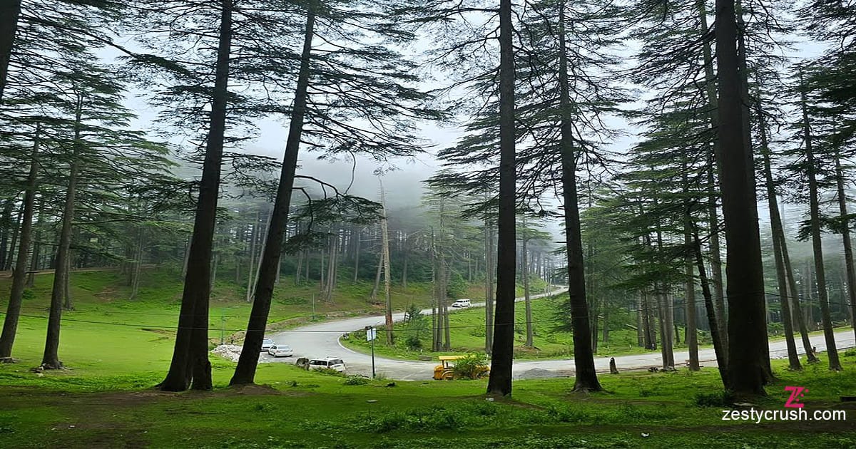 Top 11 Places to See in Kashmir: A Traveler’s Paradise