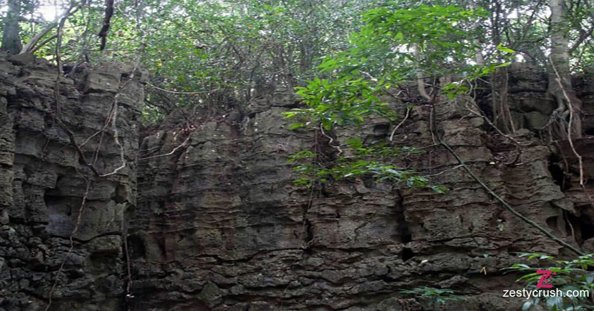 Tura Meghalaya: A Complete Travel Guide